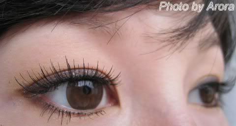 NARS双色眼影Windstar_arora_新浪博客